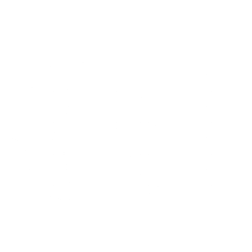 Ryan McManus – strategy, investment and leadership for the digital economy